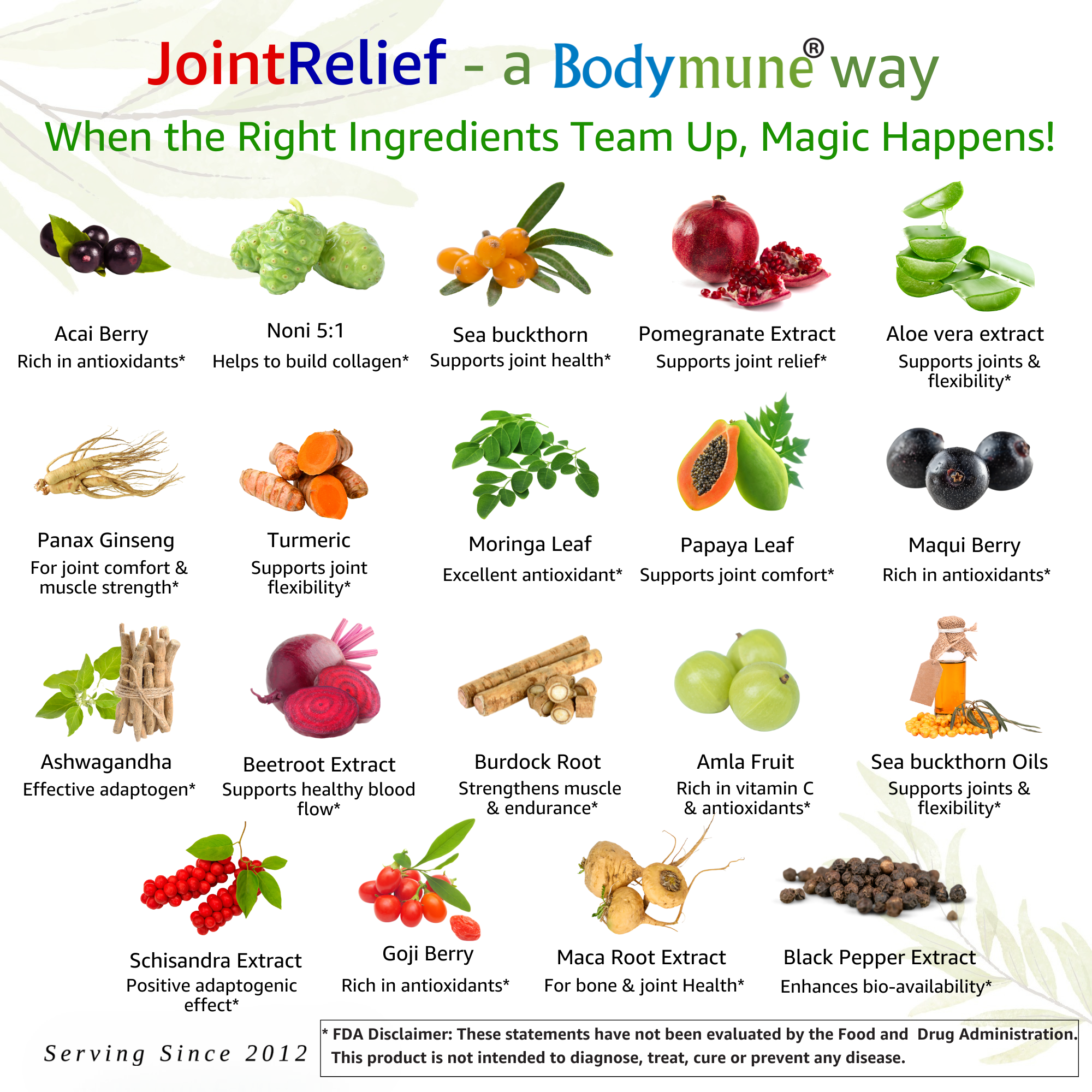 Organic Joint Health Supplement | USA Made | Bodymune Advanced ...